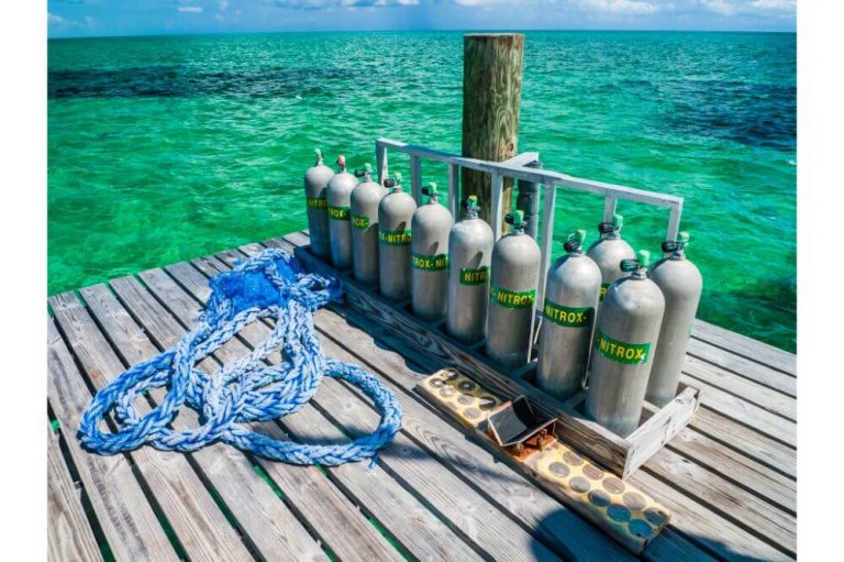 Nitrox: What You Need To Know About This Gas | Diver Below