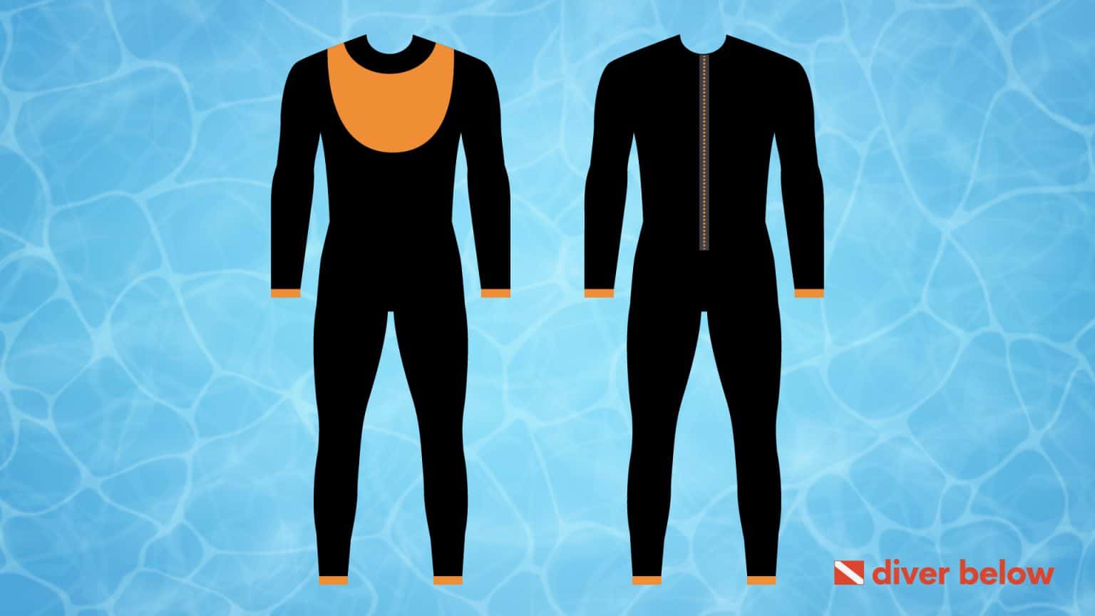 What Is a Wetsuit? 6 Critically Important Things to Understand | Diver ...