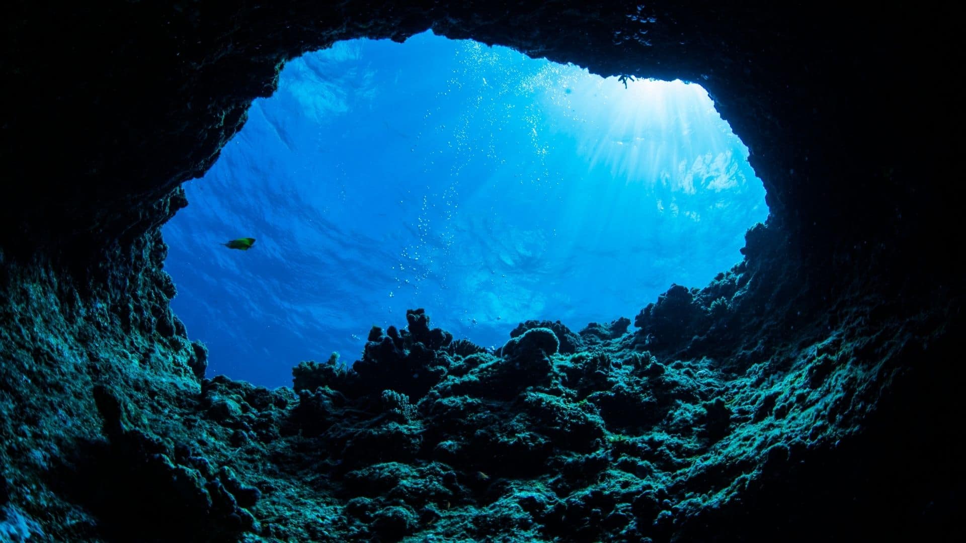 Cave Diving: Certifications, Destinations, & More | Diver Below
