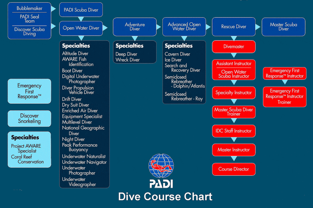 PADI: Everything You Need To Know | Diver Below