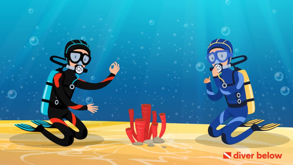 The Beginner’s Guide to SSI Diving Certifications | Diver Below